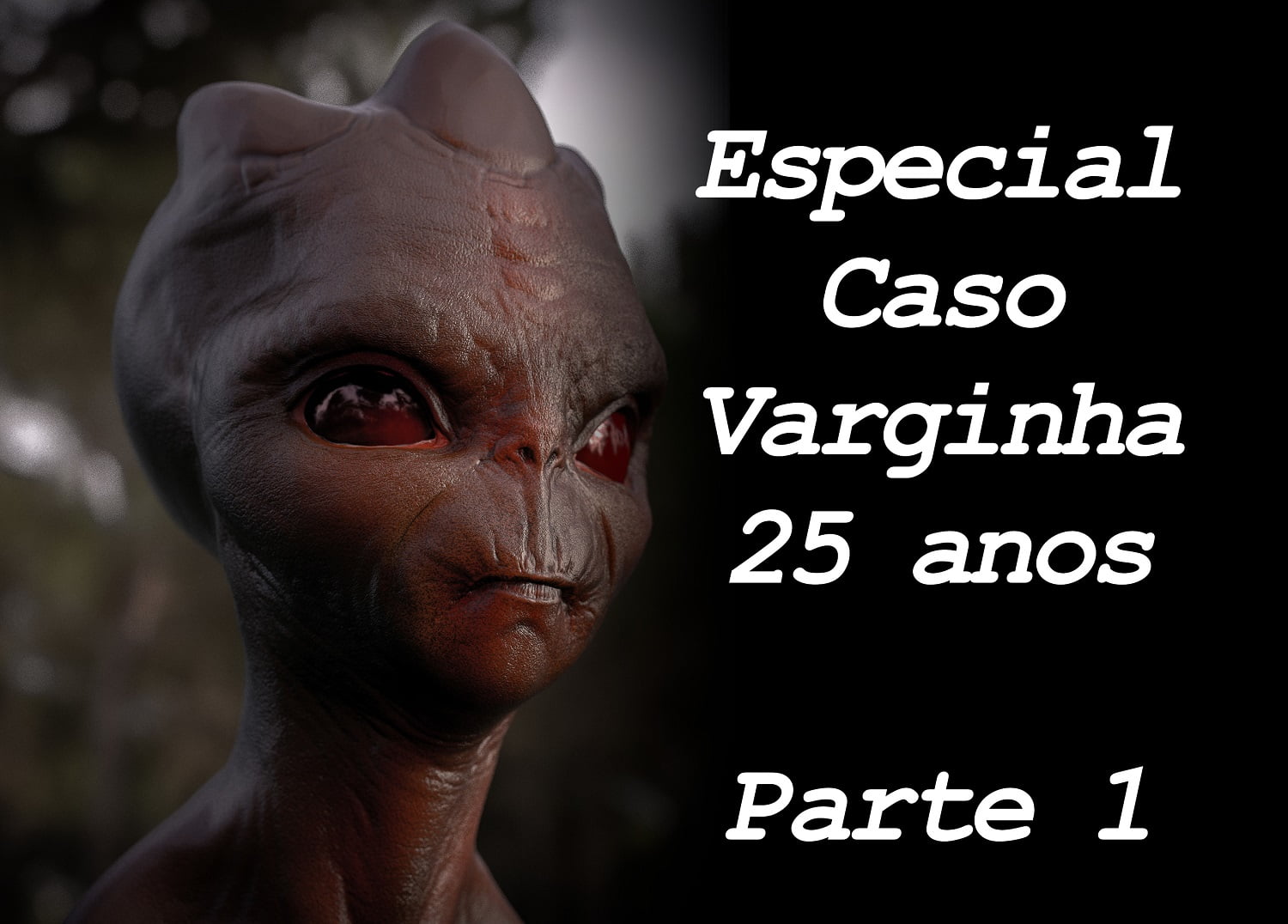 Ufólogos fazem novas descobertas e revelações sobre o Caso Varginha ...