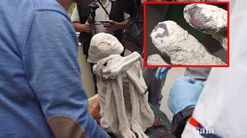 Análise revela impressões digitais "não humanas" nas múmias tridáctilas ...